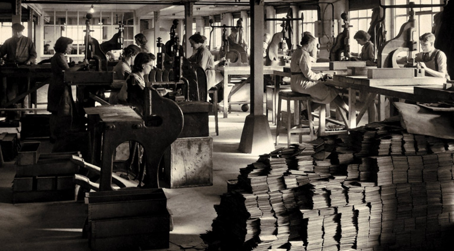 The History of Hartley Botanic - Hartley Botanic