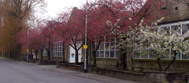 Where to see a Hartley Botanic Greenhouse, or Glasshouse