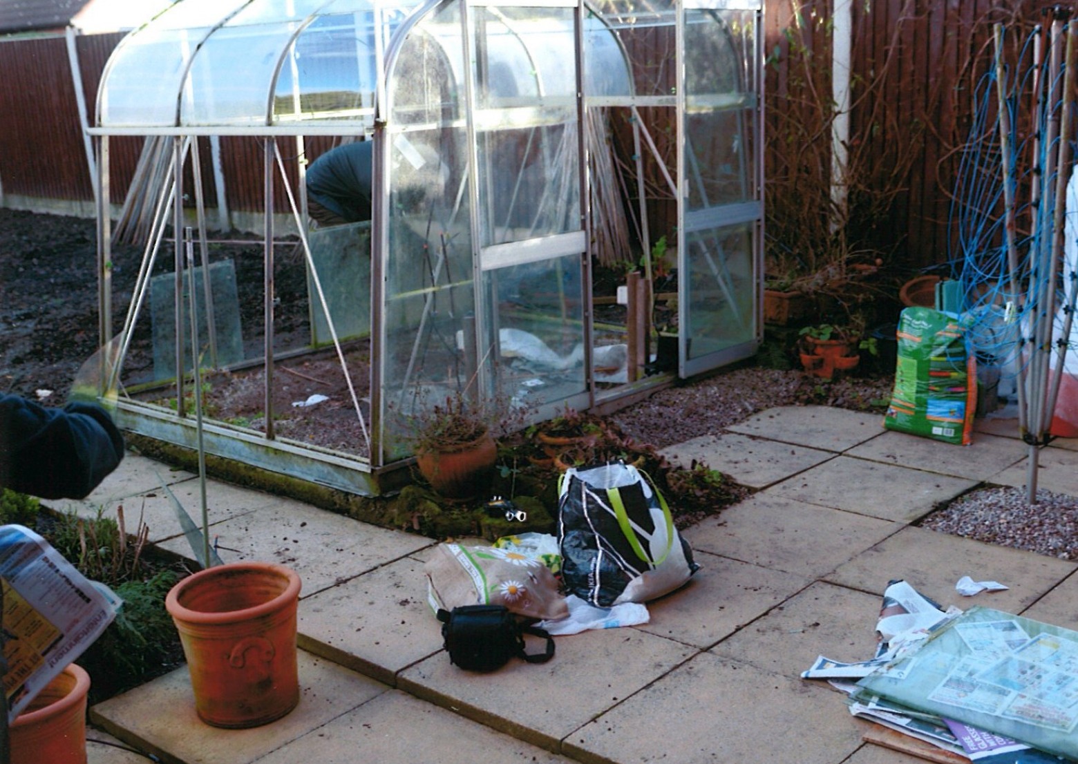 Hartley Victorian Terrace Greenhouse Case Study
