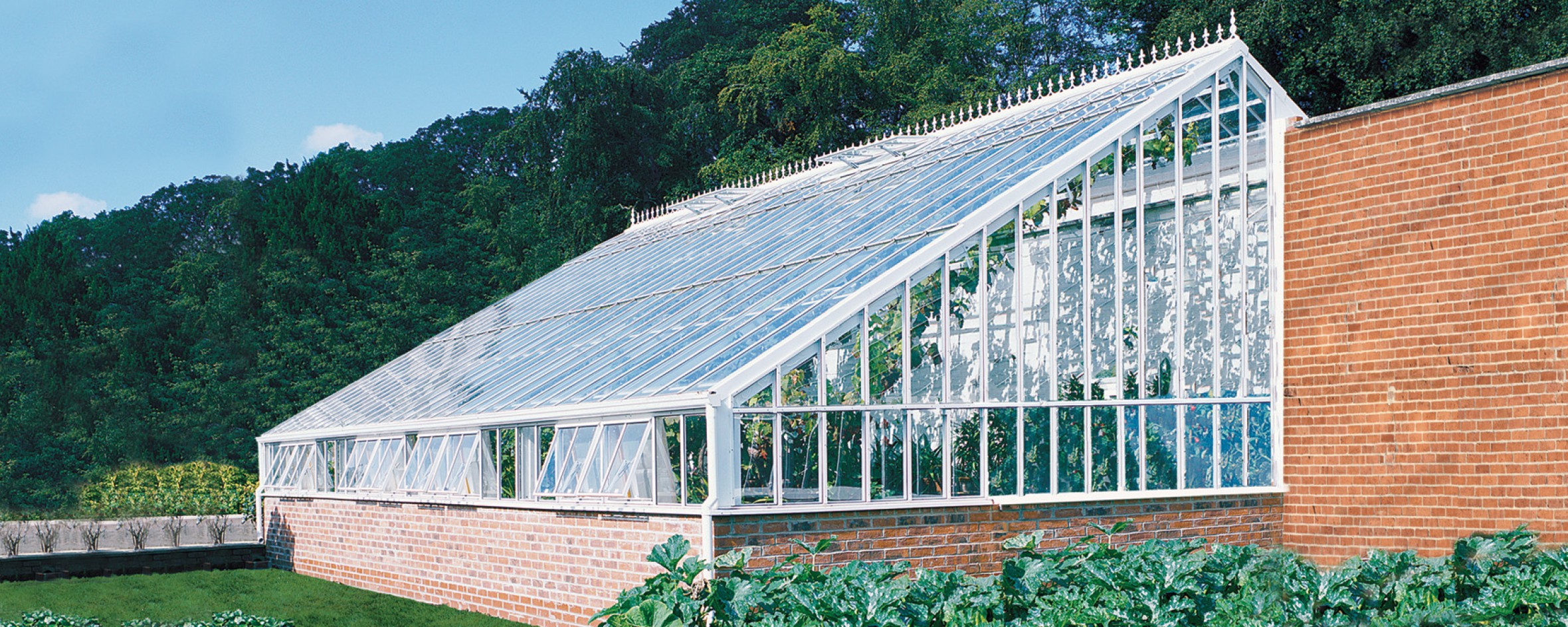 Bespoke Lean To Greenhouse 2 - Hartley Botanic