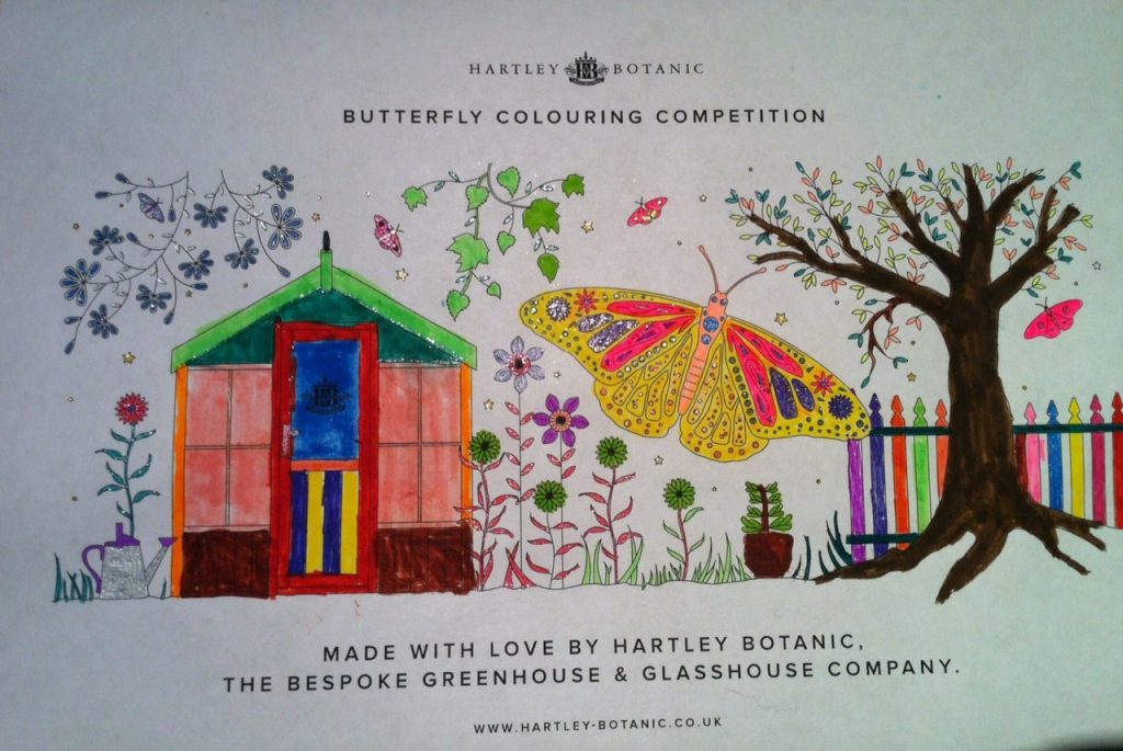 Children's Butterfly Colouring Competition Entries - by Hartley Botanic