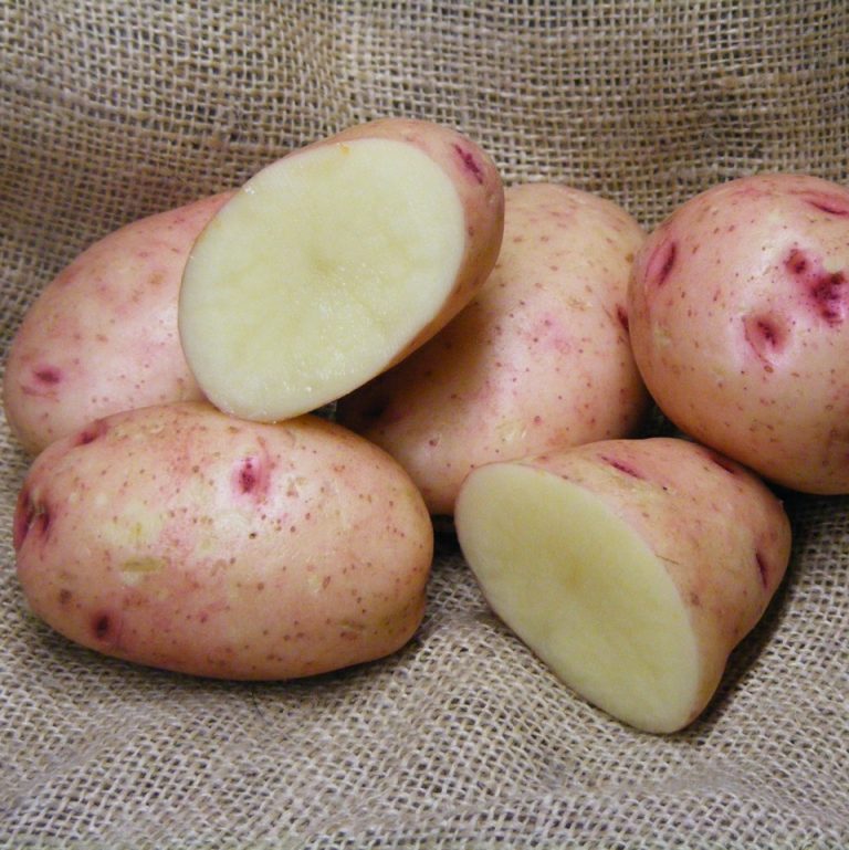 Organic Potatoes - by Jean Vernon