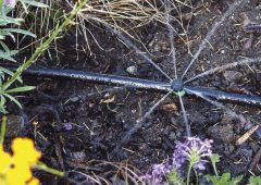 Award Winning Greenhouses & Glasshouses by Hartley Botanic