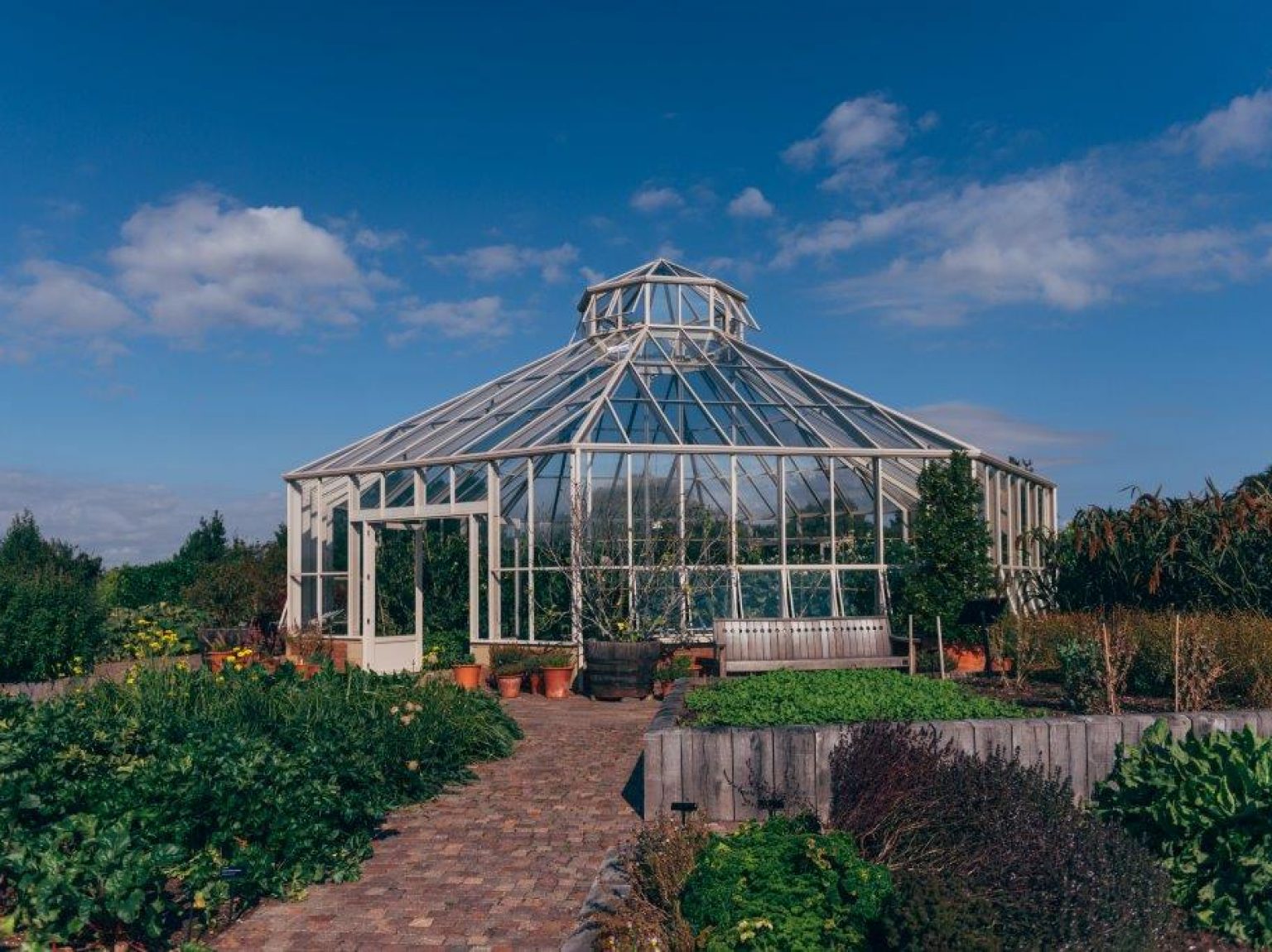 The History of Hartley Botanic - Hartley Botanic