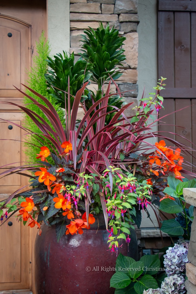 Extreme Container Gardening – Christina Salwitz Tells How - by Mary ...