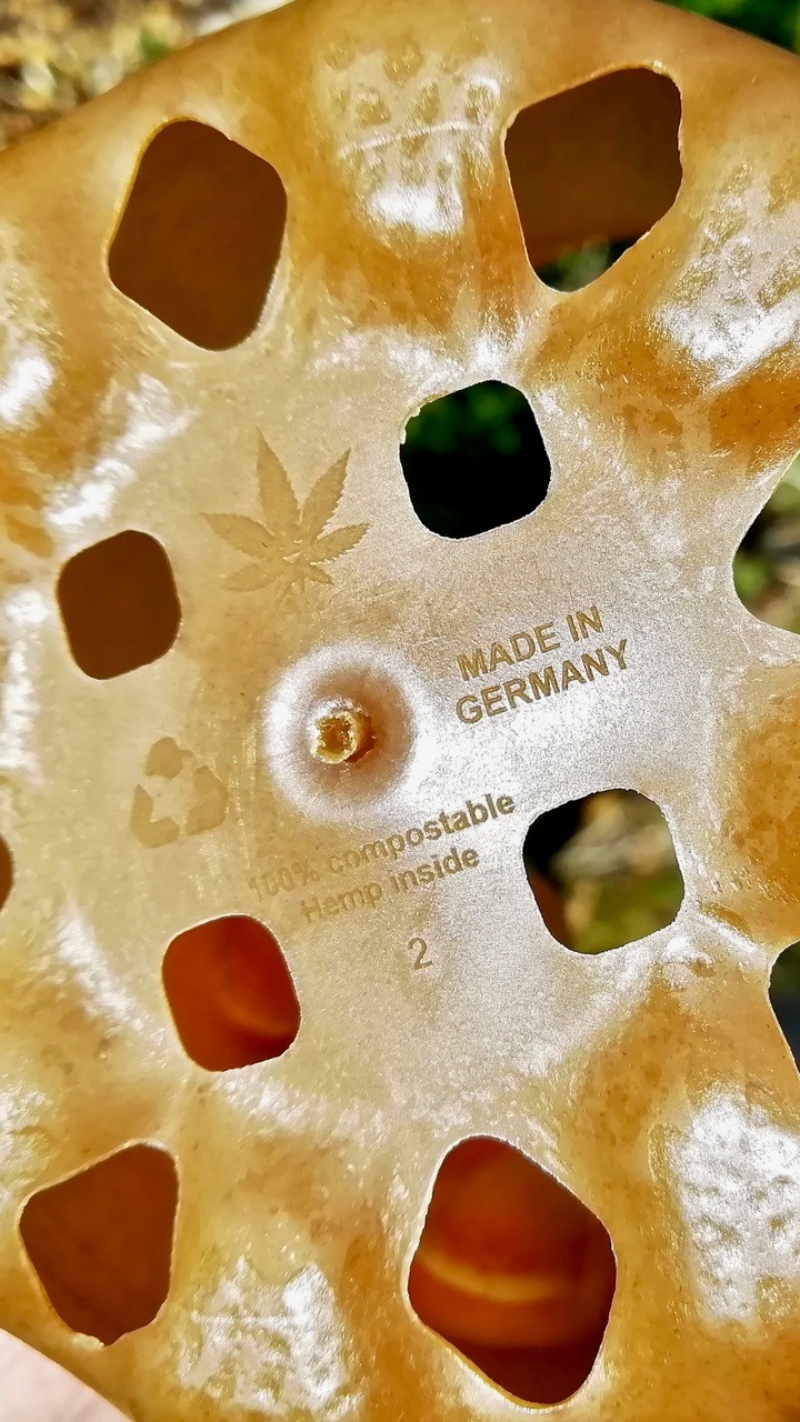 Pots from plants - by John Walker