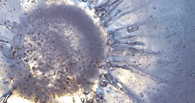 Award Winning Greenhouses & Glasshouses - Hartley Botanic