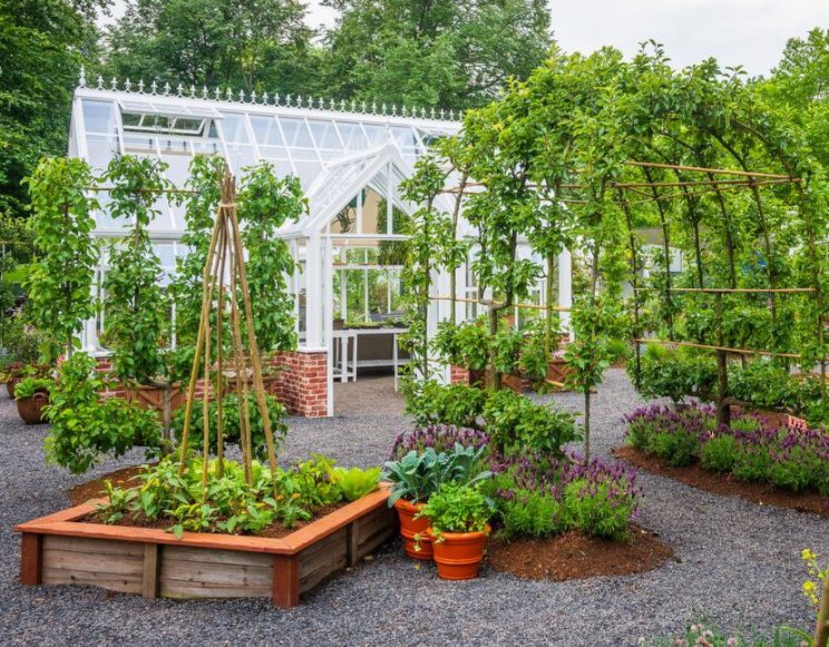 Potager plots are decorative and productive - by Ethne Clarke