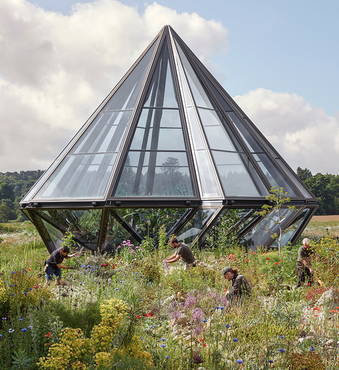 Of Greenhouses, Gardens and Growing - by Ethne Clarke