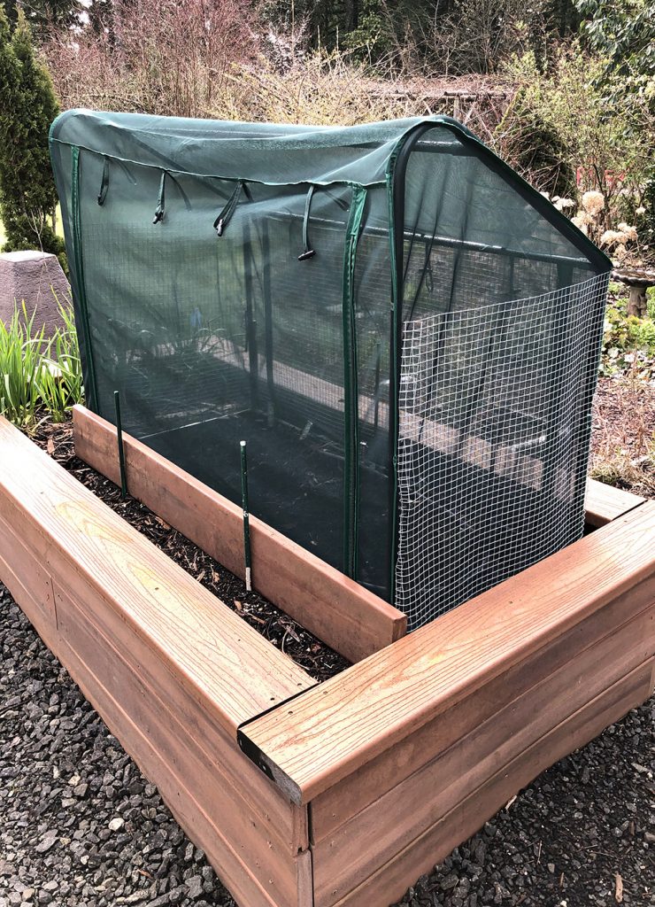 Why Didn’t My Seeds Sprout? - by Mary-Kate Mackey