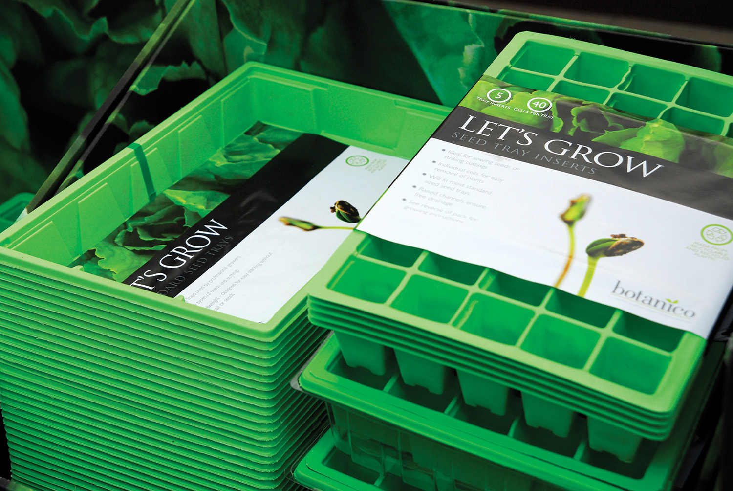 The Joy of Seeds - by Jean Vernon