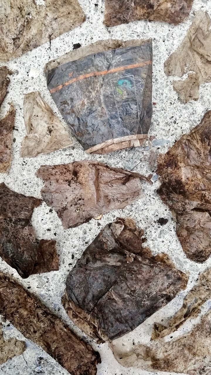 Rot or not - by John Walker