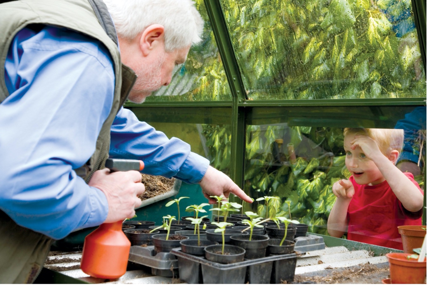 Greenhouse Growing Projects Your Grandchildren Will Love This Summer ...