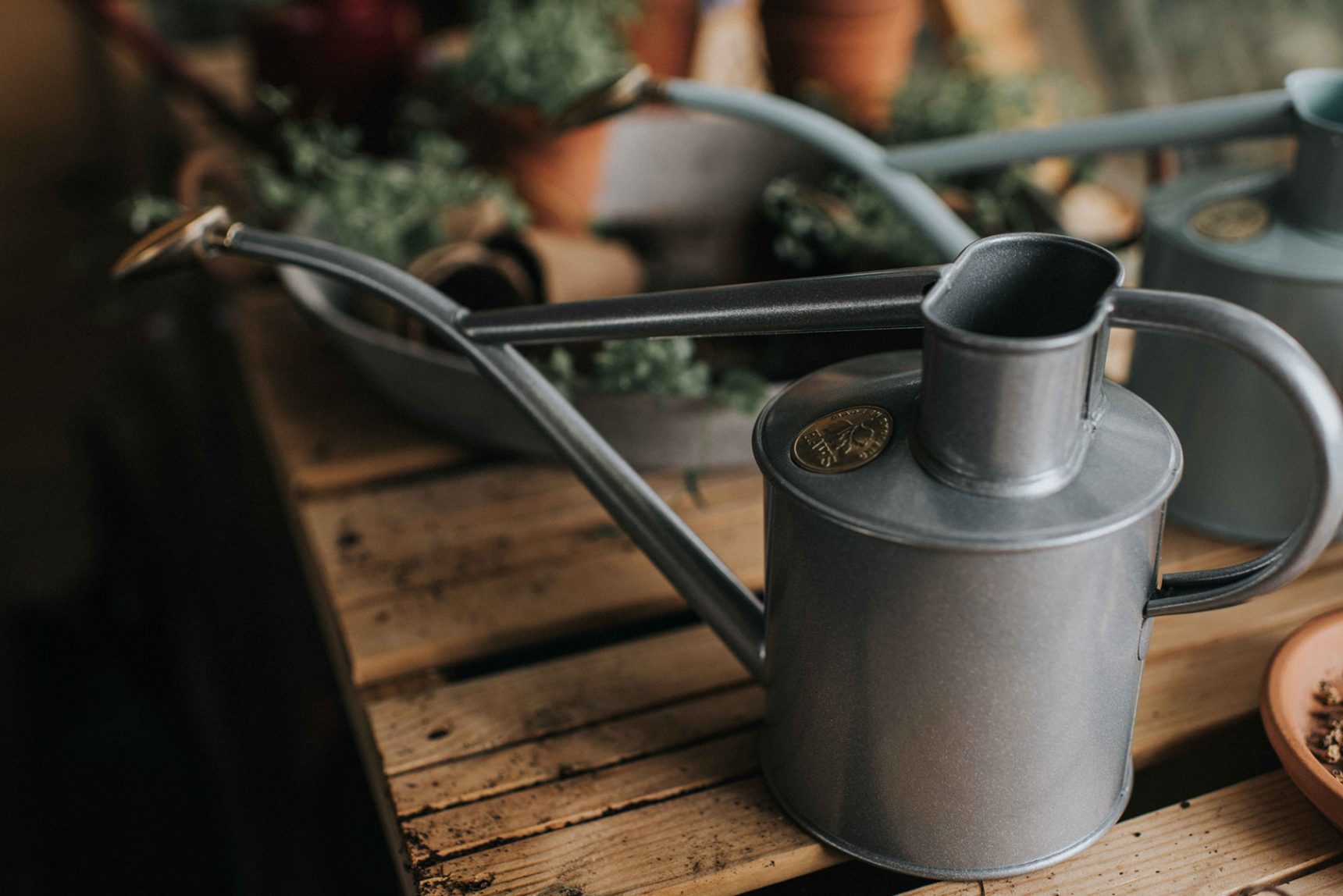 How to use water in the garden efficiently - by Jean Vernon