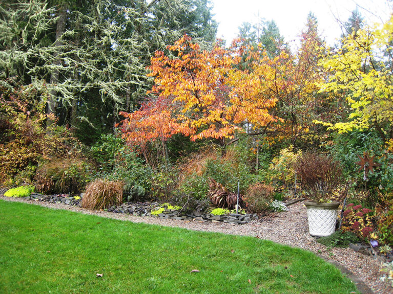 Plant and Prune Now?—Dan Robinson tells why - by Mary-Kate Mackey