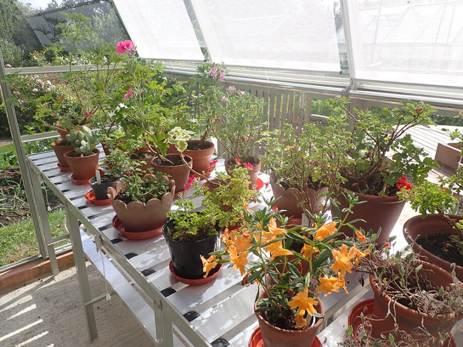 A New Era - by Val Bourne