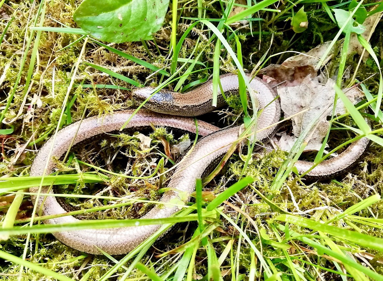 Brief encounters - by John Walker