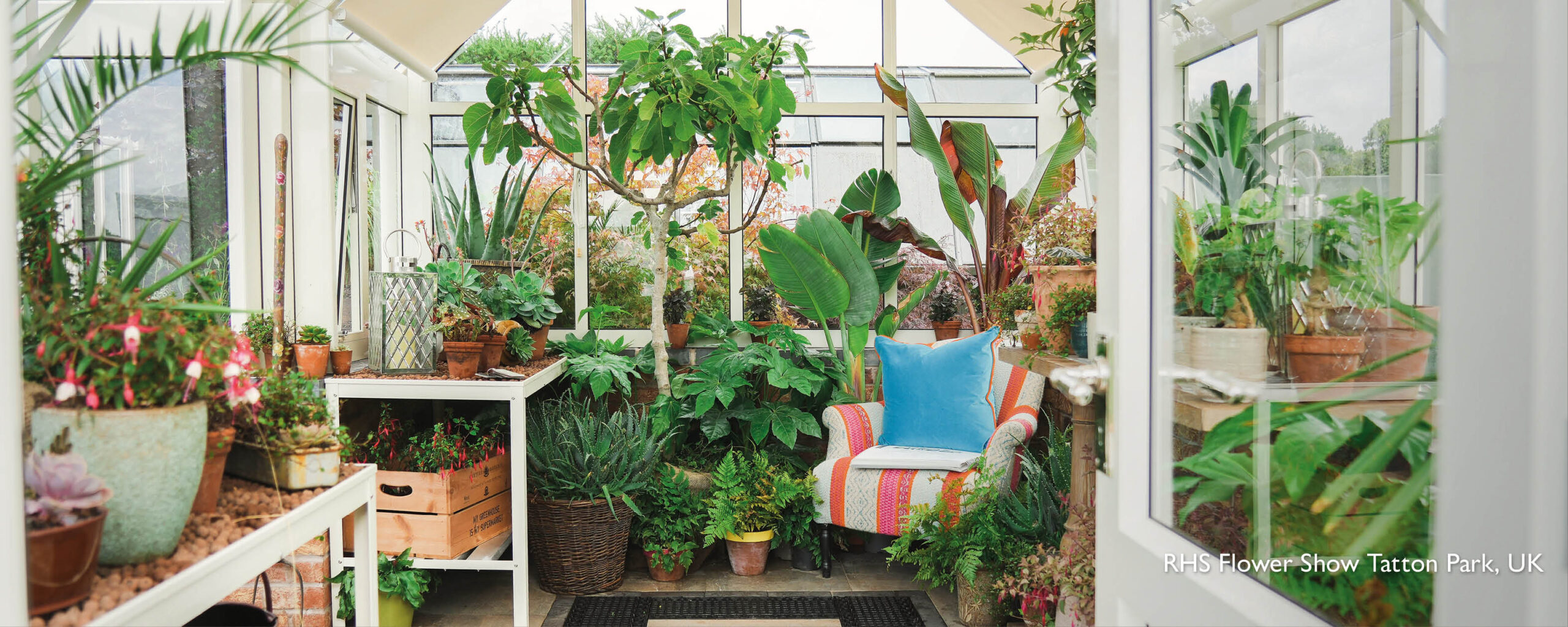 The Greenhouse in Spring - by Ethne Clarke