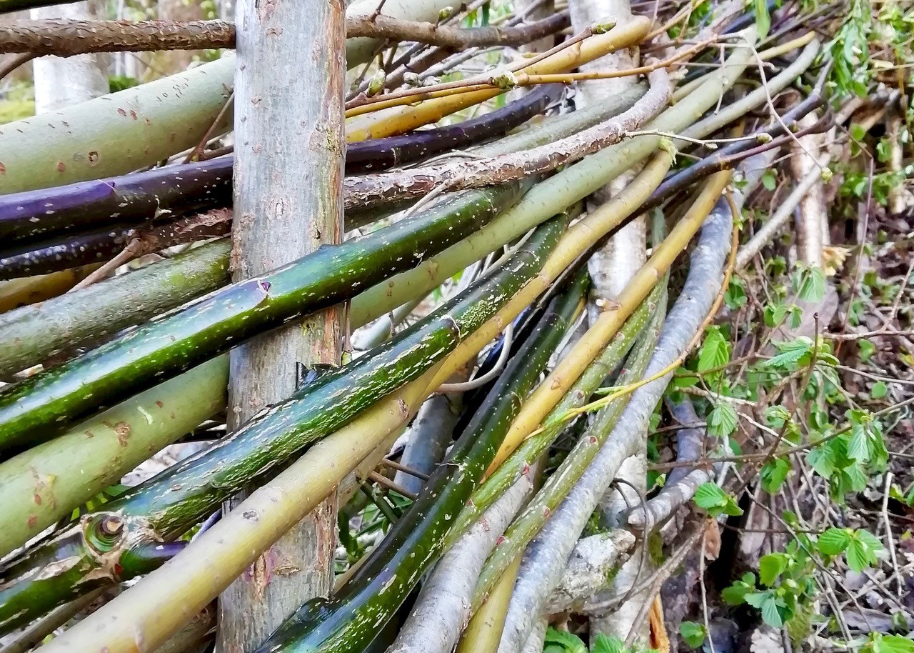 Hedging your bets - by John Walker