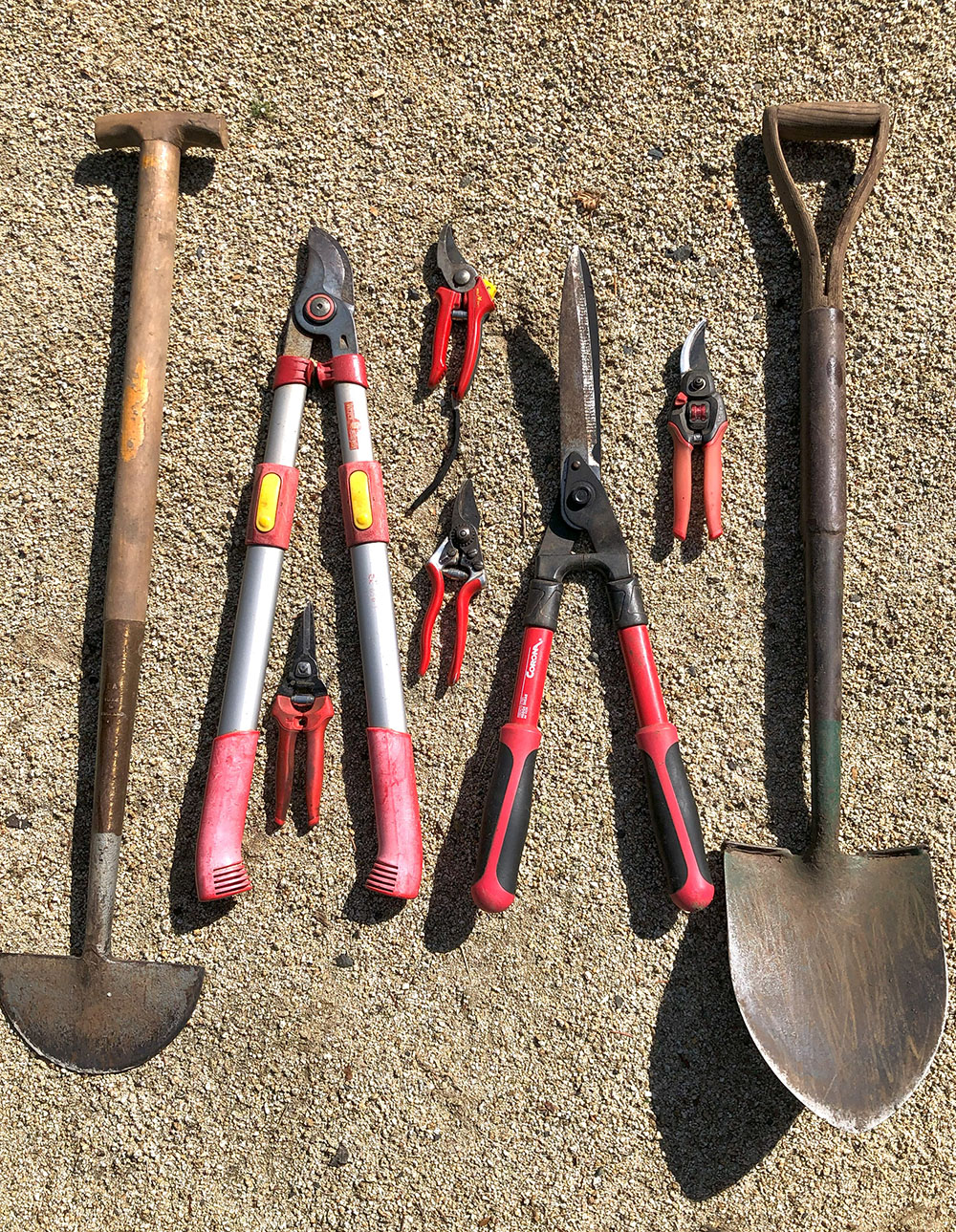 Sharpest Tools in the Shed - Why We Need Them - by Mary-Kate Mackey
