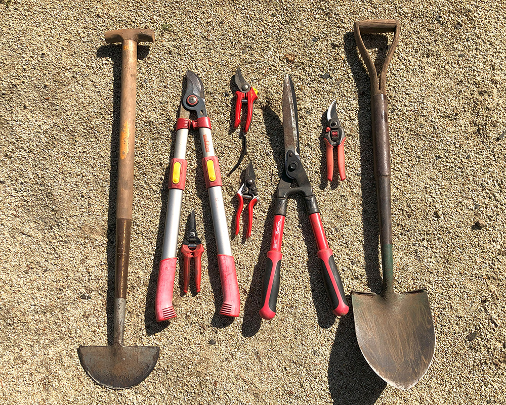 Sharpest Tools in the Shed - Why We Need Them - by Mary-Kate Mackey