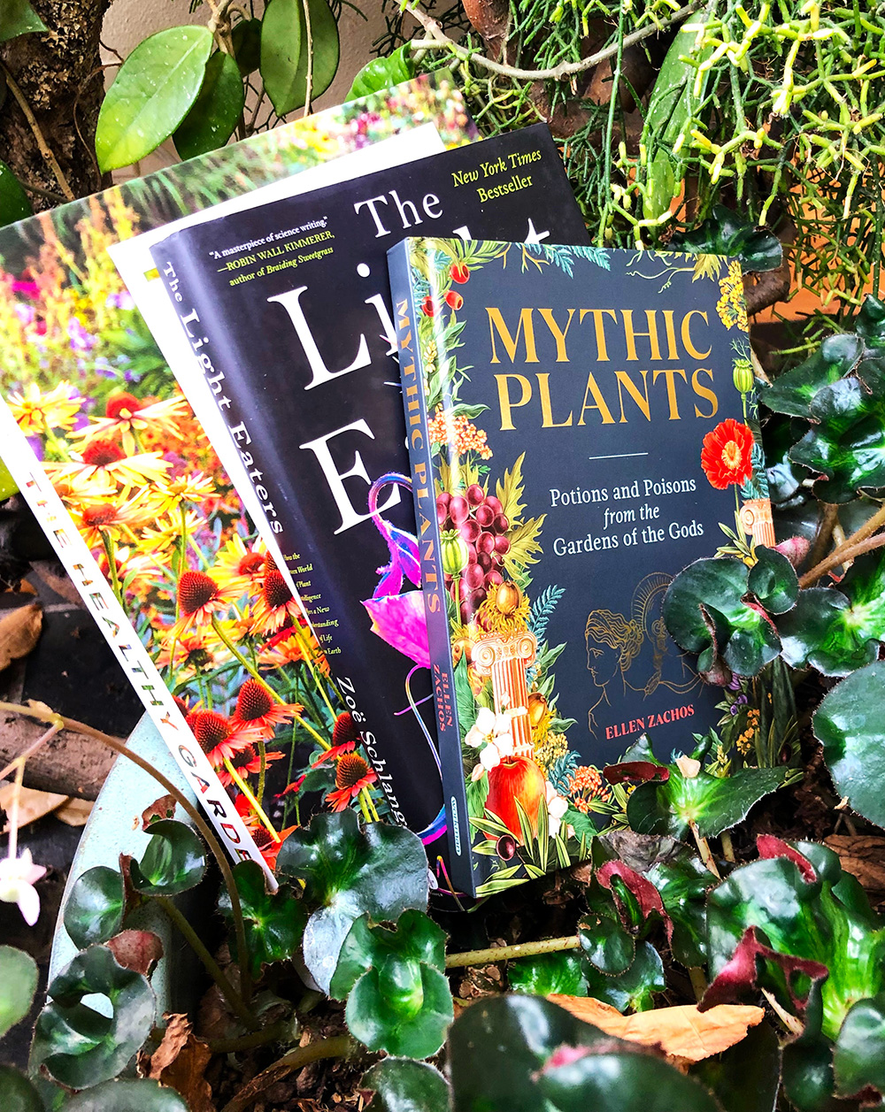 Curl Up and Read – Books that will change the way you think about ...